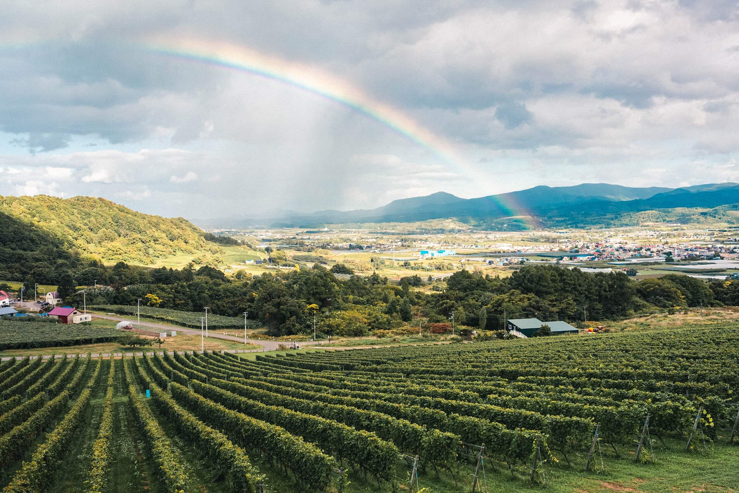 Niseko Departure: A Day Tour for Adults to Enjoy Flavors and Nature ...